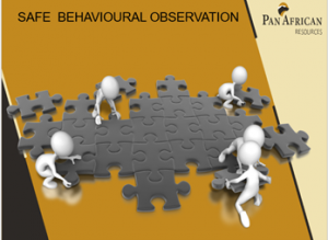 Lesson 5 – Safe Behavioural Observation