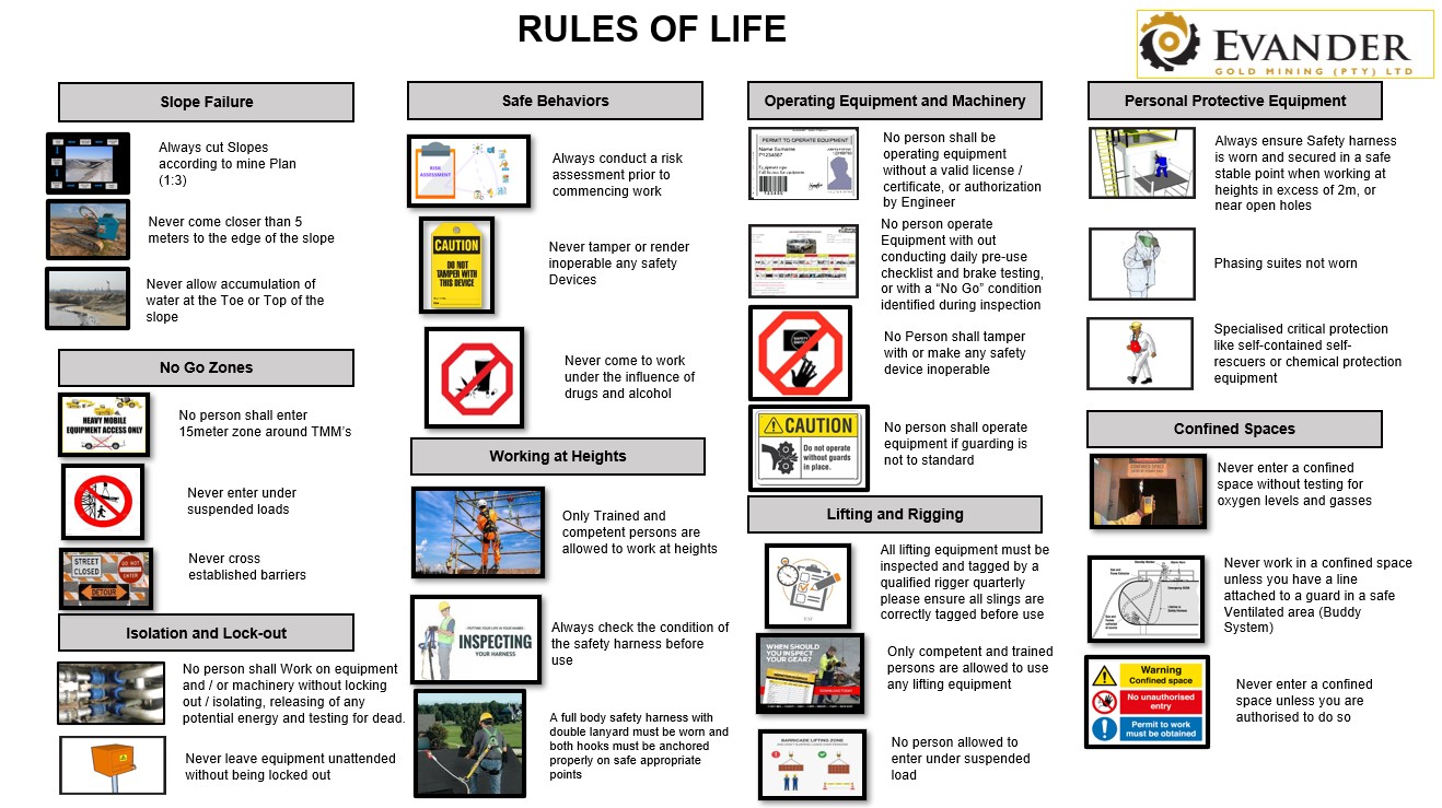 Topic 9 – Rules of Life –Surface Areas